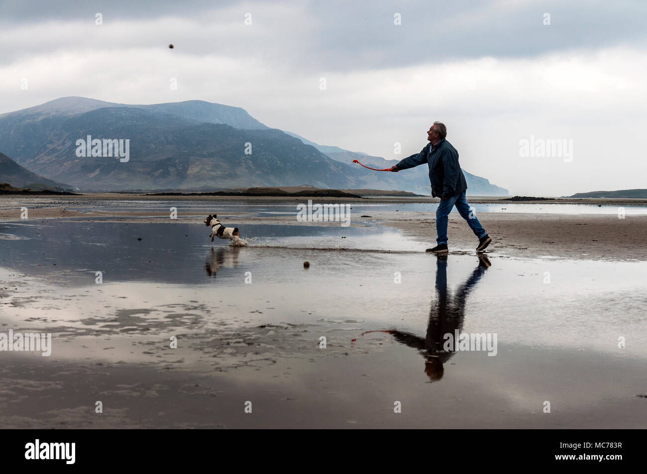 Dog chase man hi-res stock photography and images - Alamy