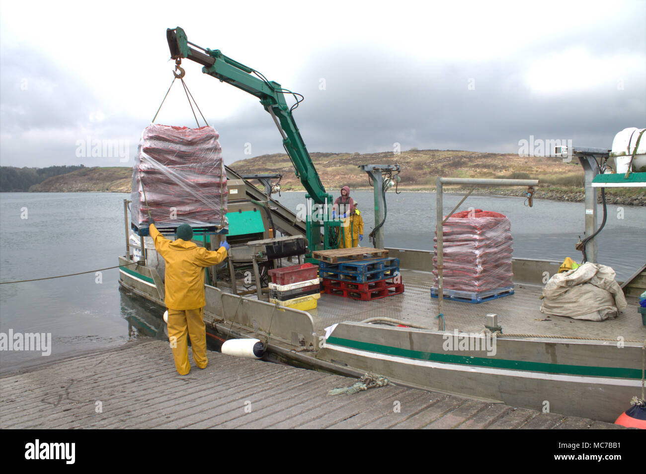 Mussel barge hi-res stock photography and images - Alamy
