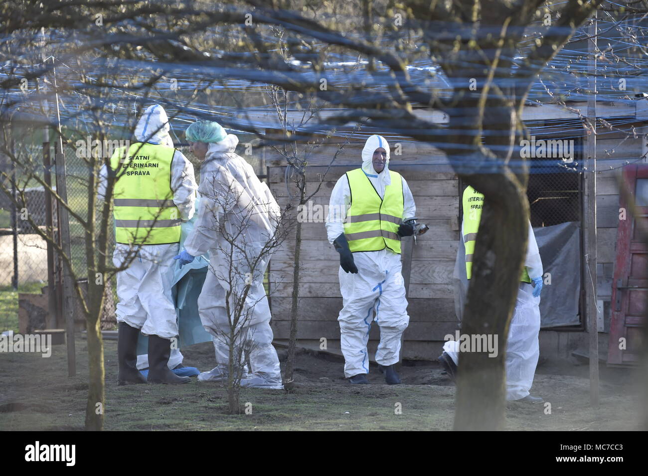 Conjunctivitis in birds hi-res stock photography and images - Alamy