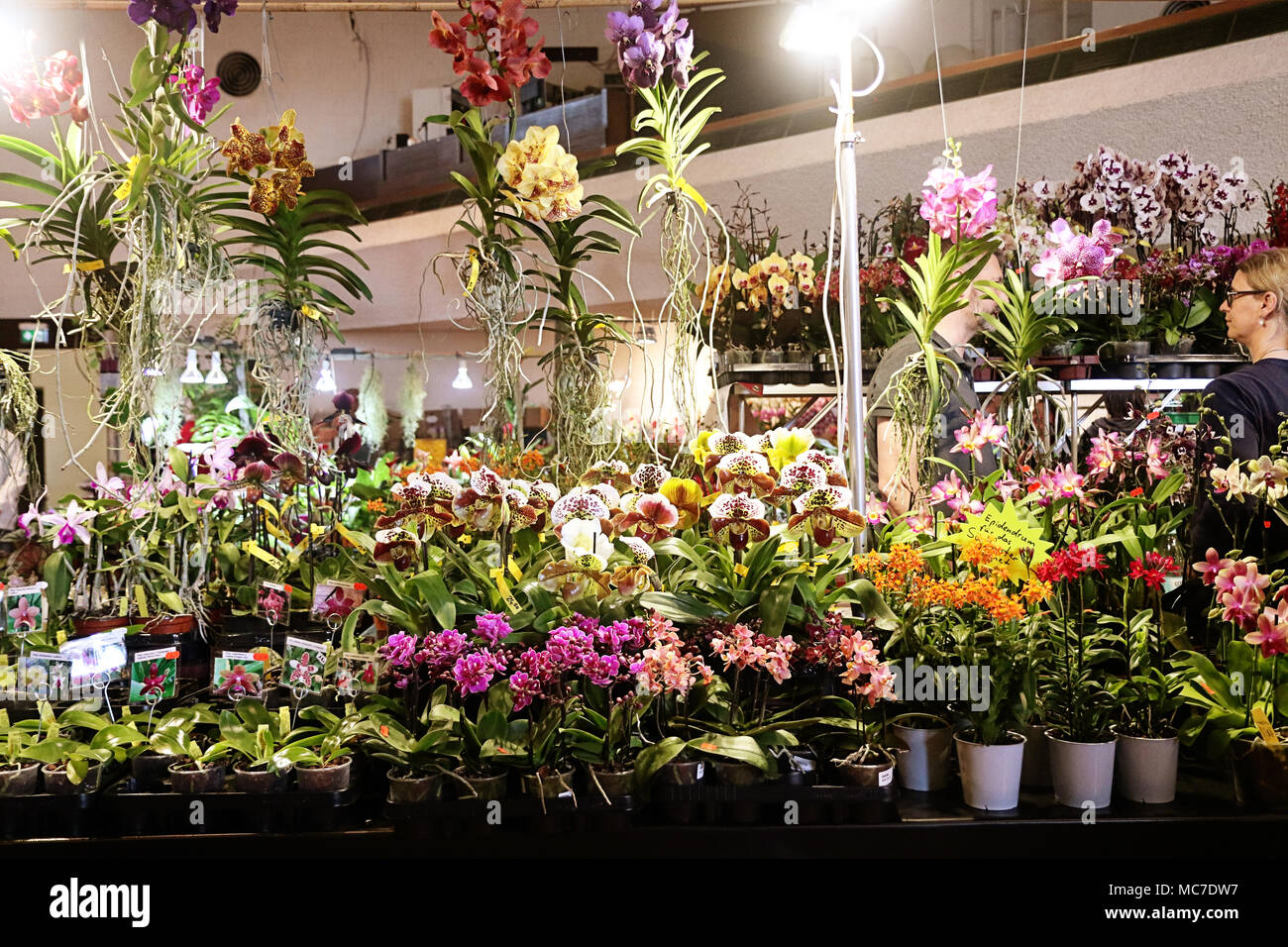 Garching bei munchen hi-res stock photography and images - Alamy