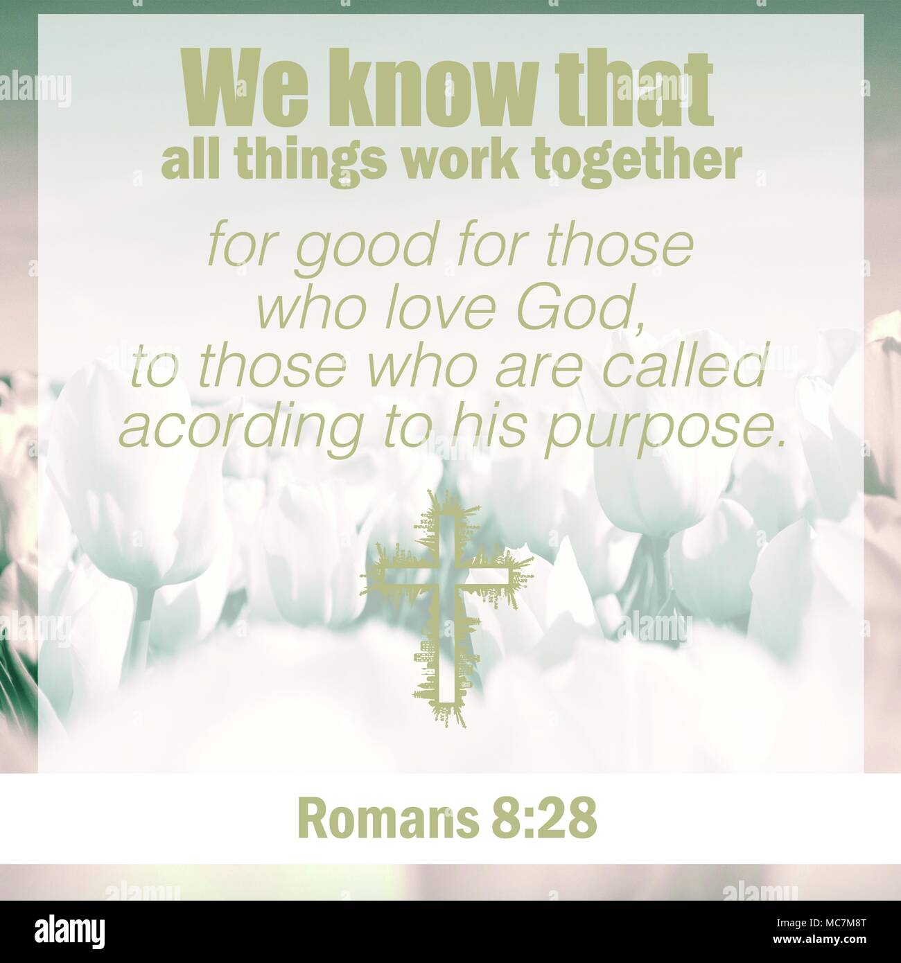 We know that all things work together for good for those who love God ...