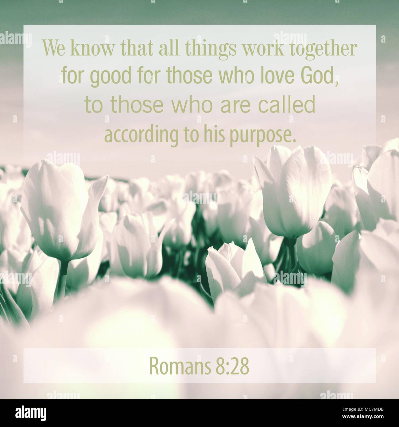 We know that all things work together for good for those who love God ...