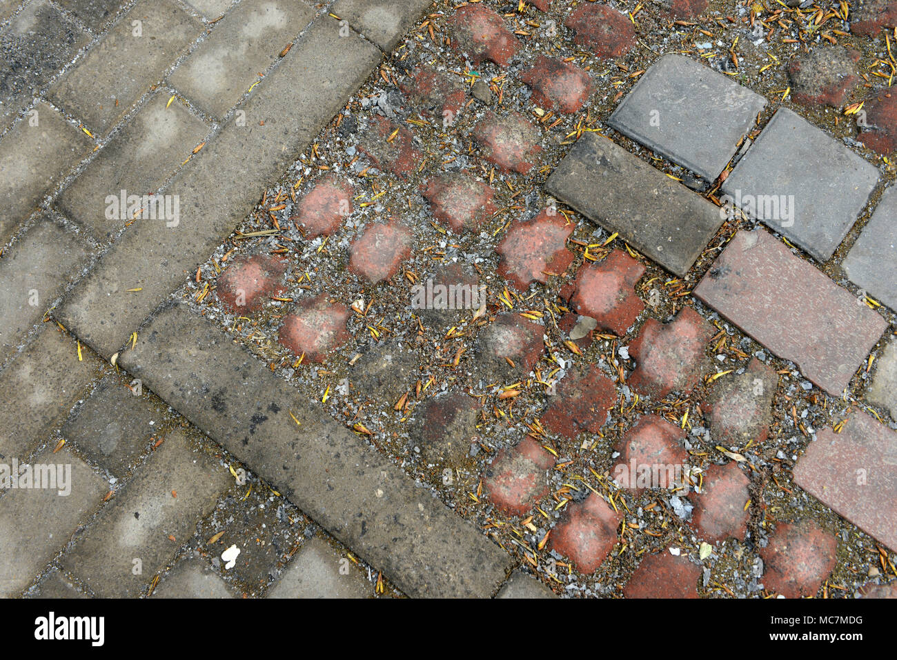 Different types of paving stone form an angular composition on a path ...
