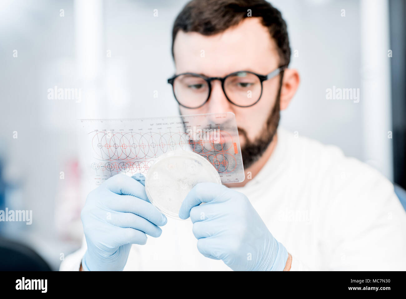Male laboratory assistant working with bacteria in petri dish in the ...