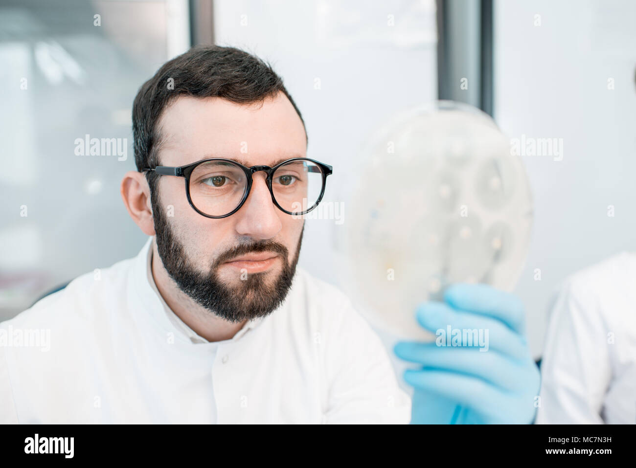 Male laboratory assistant working with bacteria in petri dish in the ...