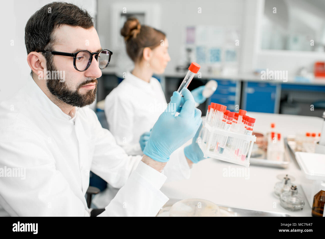 Male laboratory assistant examining test tube in the bacteriological ...