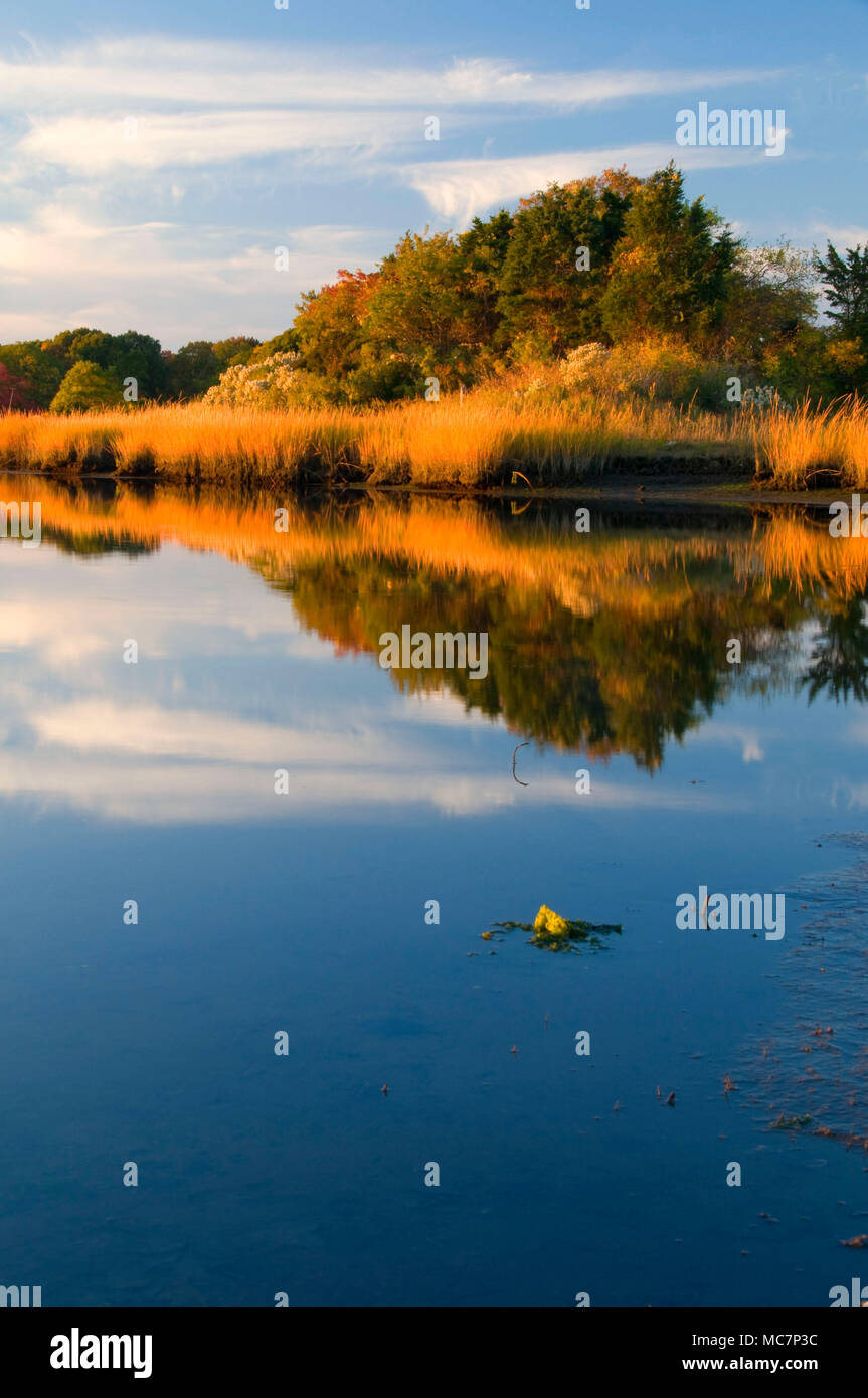 The nature conservancy hi-res stock photography and images - Alamy