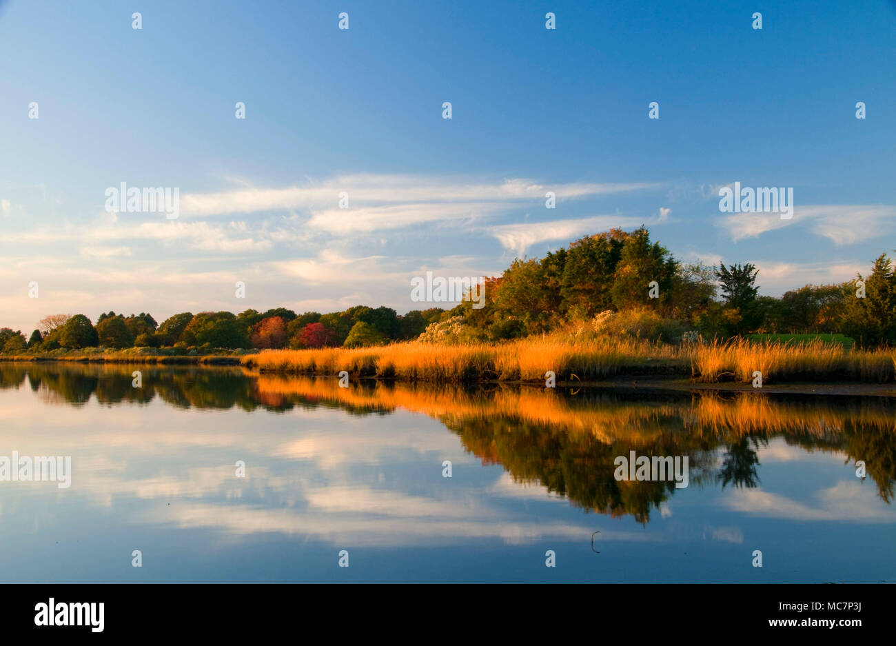 Estuary, Griswold Point Preserve (Nature Conservancy), Connecticut ...