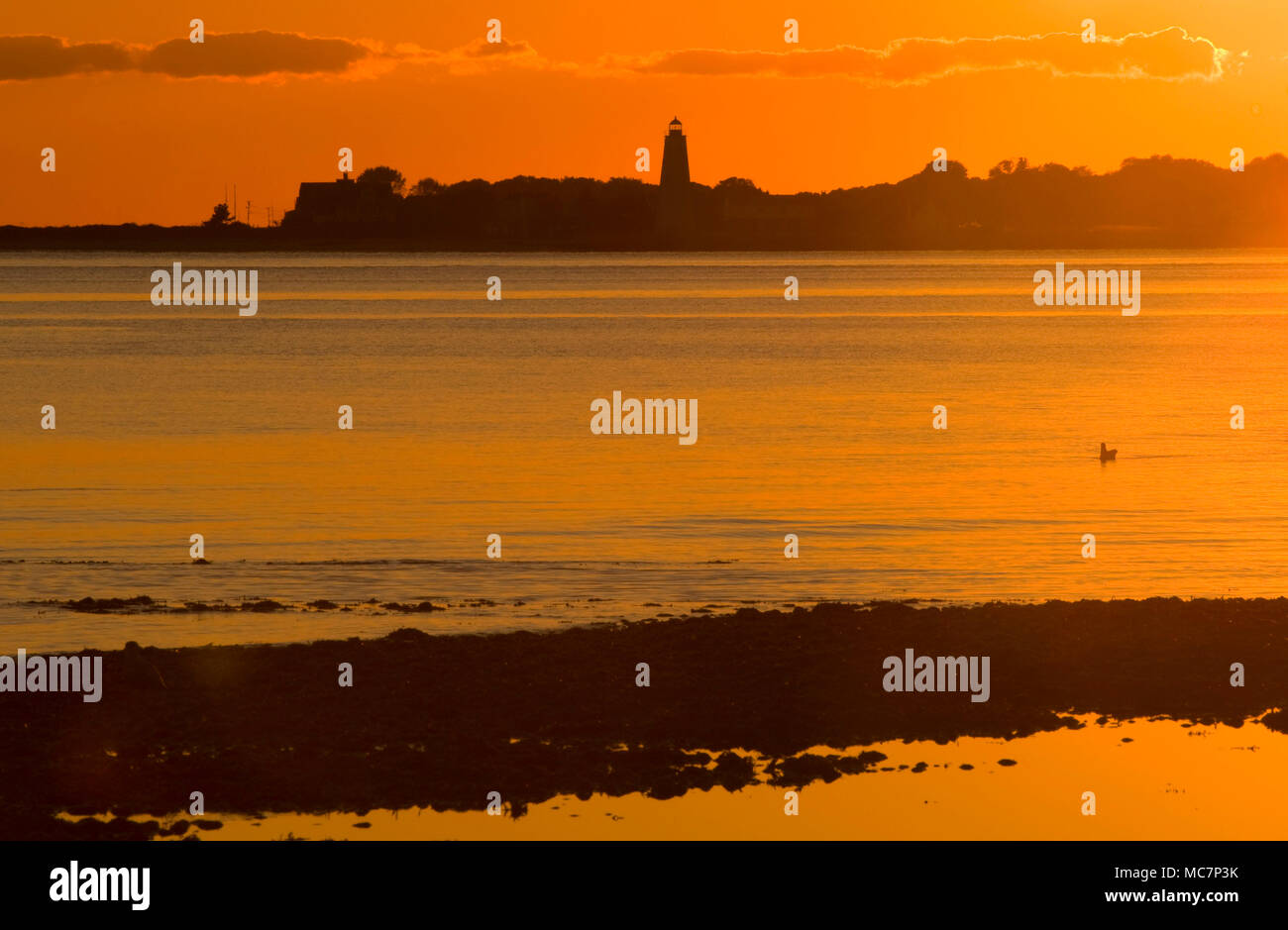 Sunset to Saybrook Lighthouse, Griswold Point Preserve (Nature ...