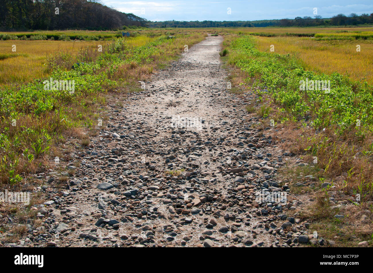 Trail through salt water marsh, Barn Island Wildlife Management Area ...