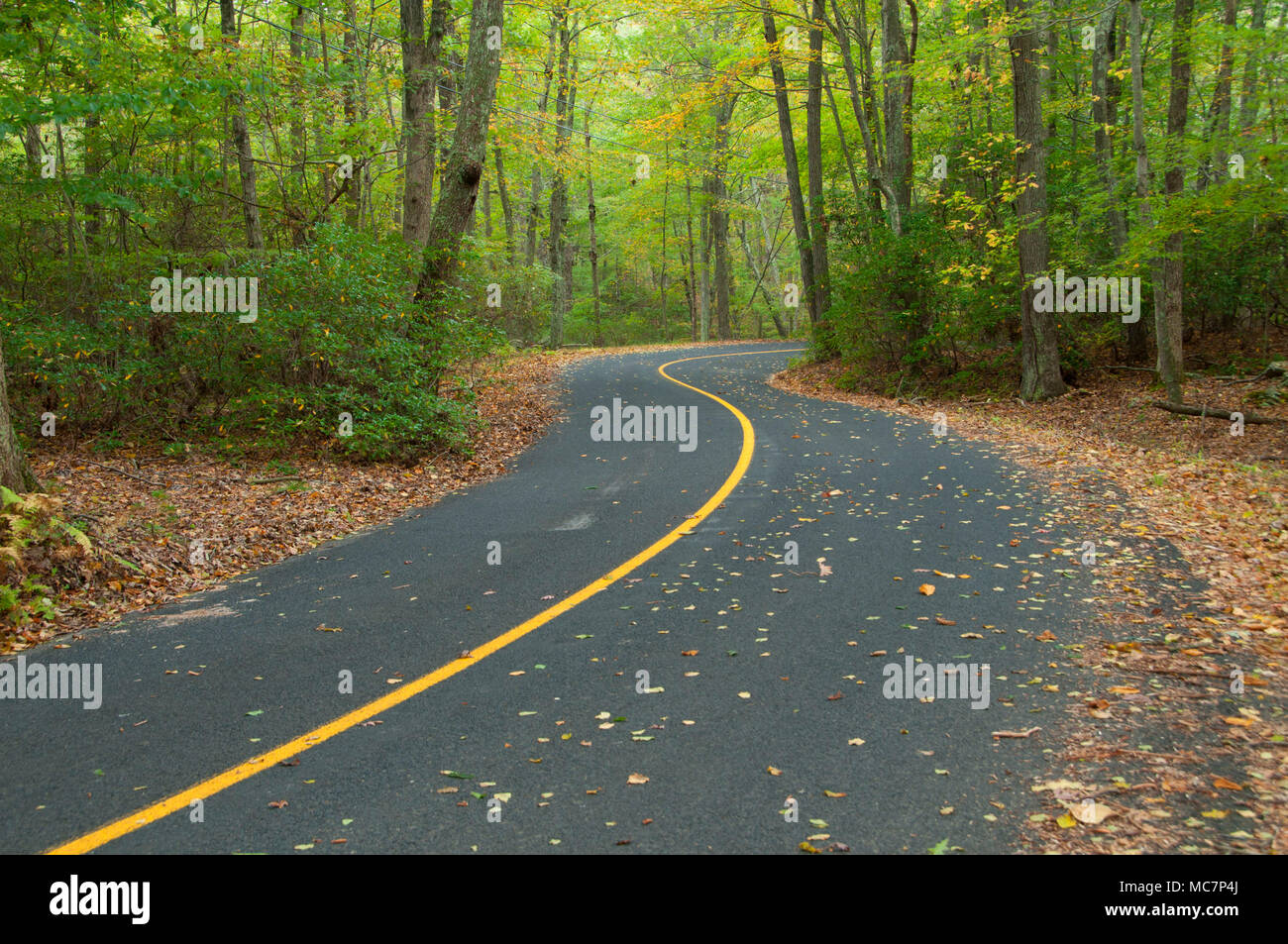 Selden neck preserve hi-res stock photography and images - Alamy