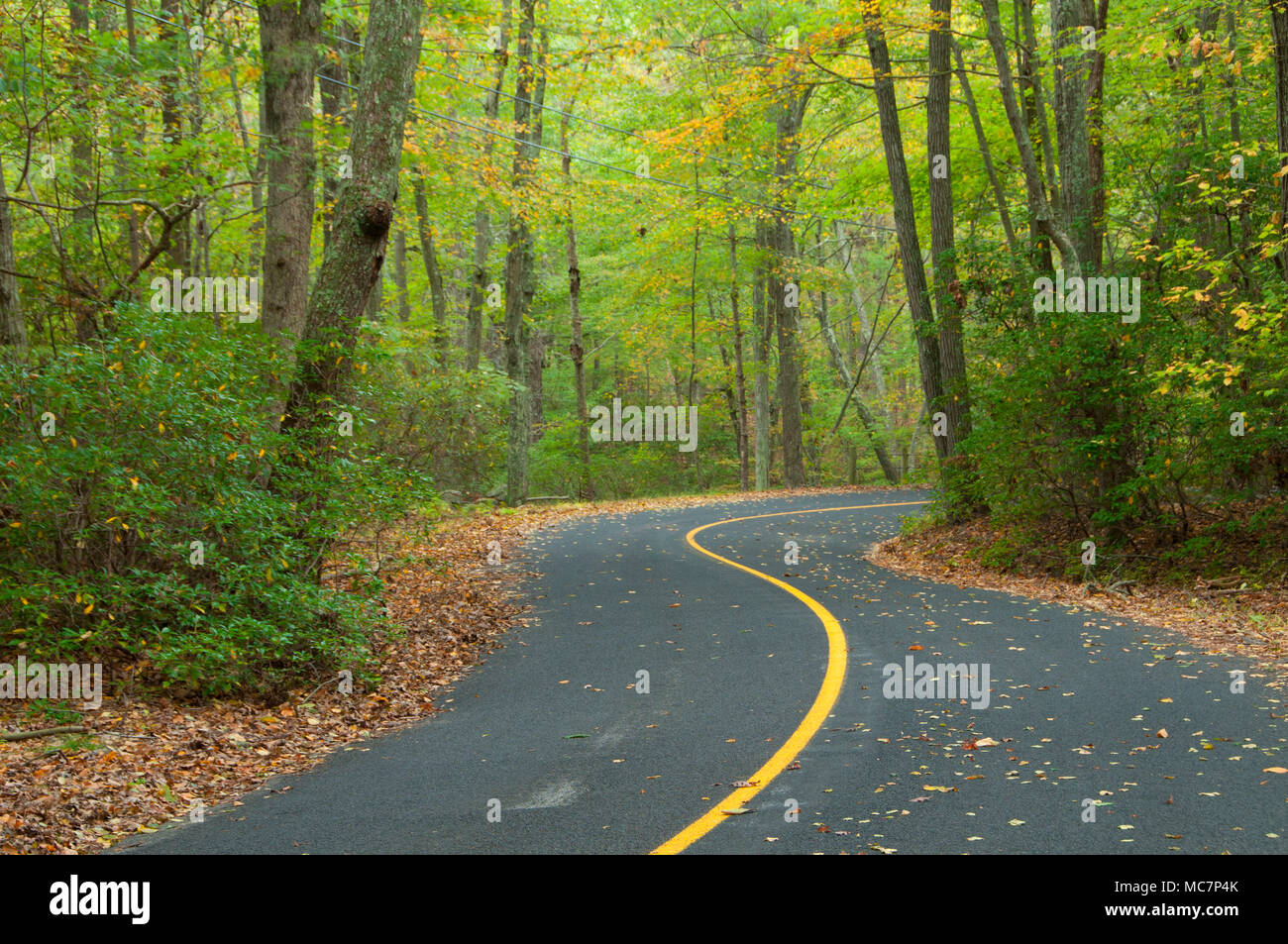 Selden neck preserve hi-res stock photography and images - Alamy