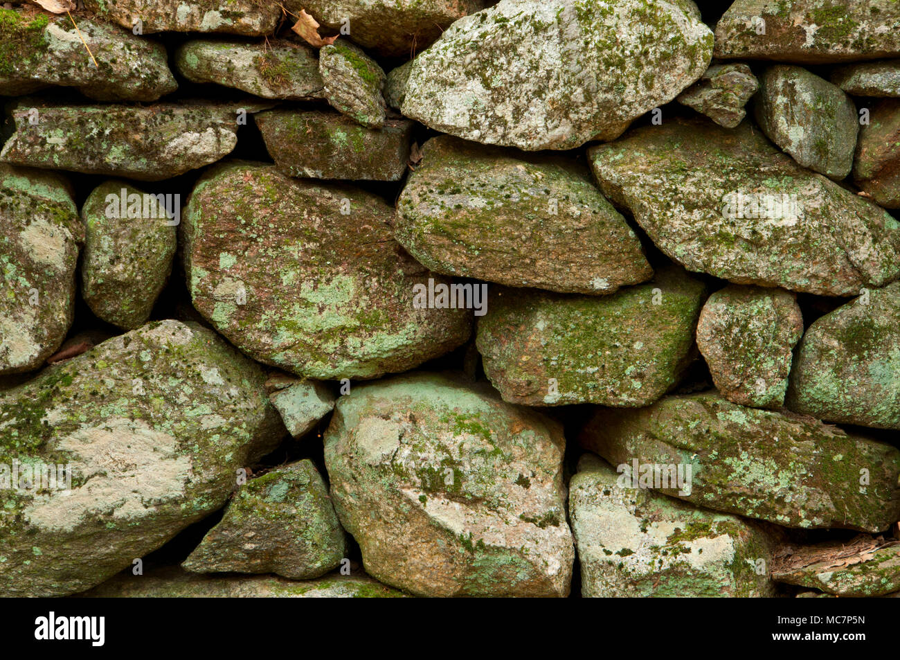 Rockwall along Salmon River Trail, Salmon River State Forest ...