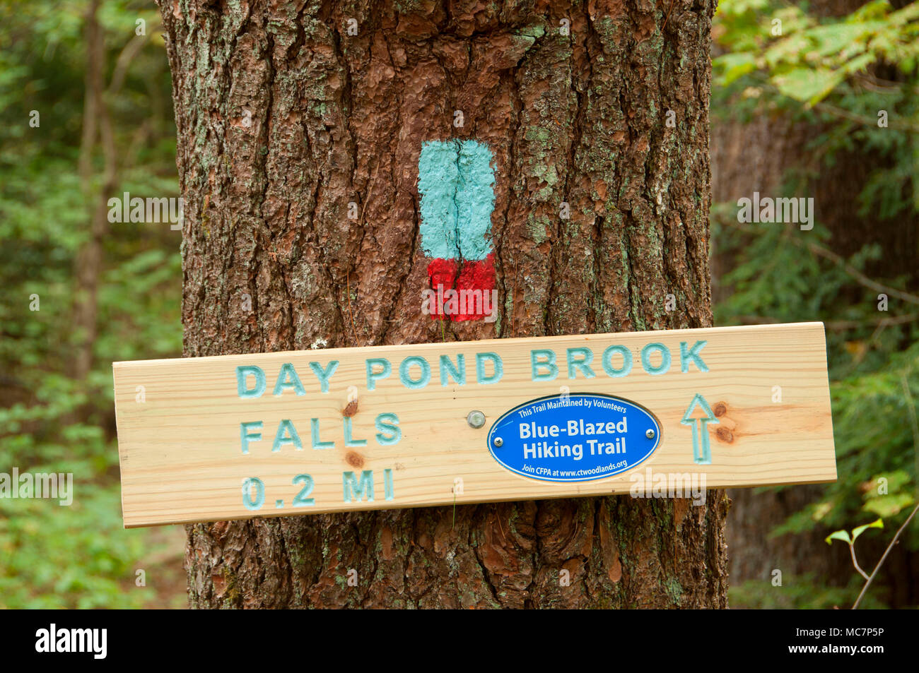 Day pond brook falls trail hi-res stock photography and images - Alamy