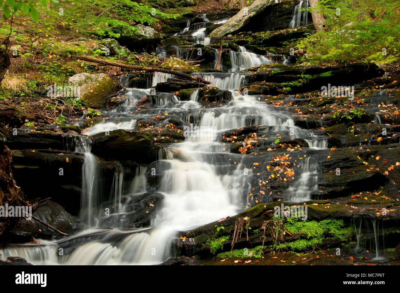 Day Pond Brook Falls, Salmon River State Forest, Connecticut Stock ...