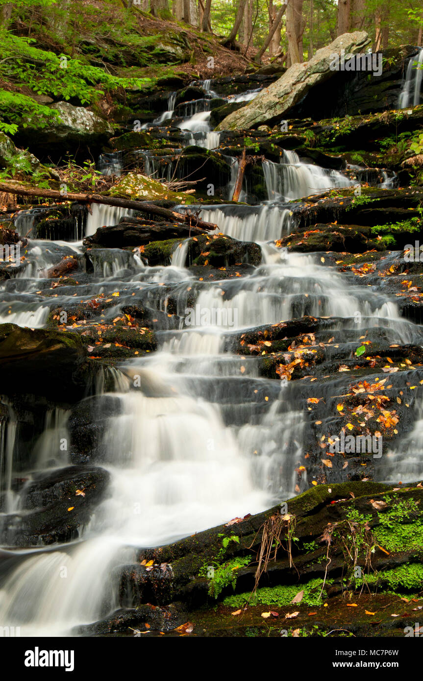Day Pond Brook Falls, Salmon River State Forest, Connecticut Stock ...