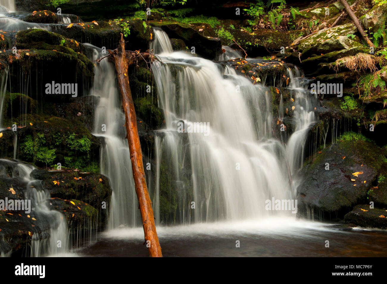 Day Pond Brook Falls, Salmon River State Forest, Connecticut Stock ...
