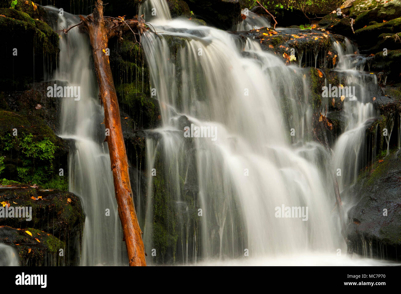 Day Pond Brook Falls, Salmon River State Forest, Connecticut Stock ...
