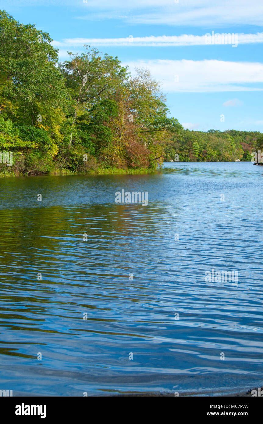Nehantic State Forest High Resolution Stock Photography and Images - Alamy