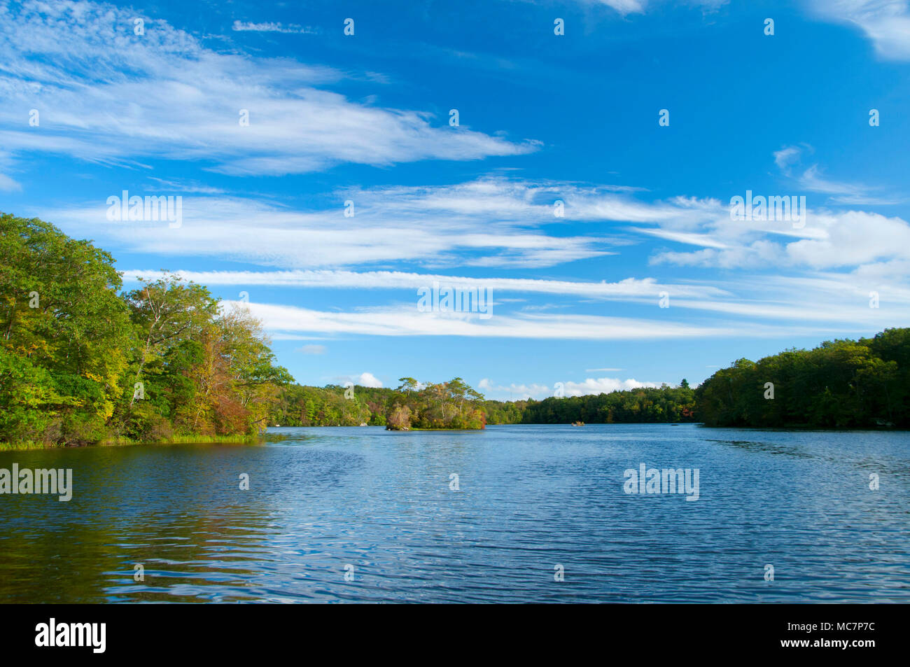 Nehantic State Forest High Resolution Stock Photography and Images - Alamy