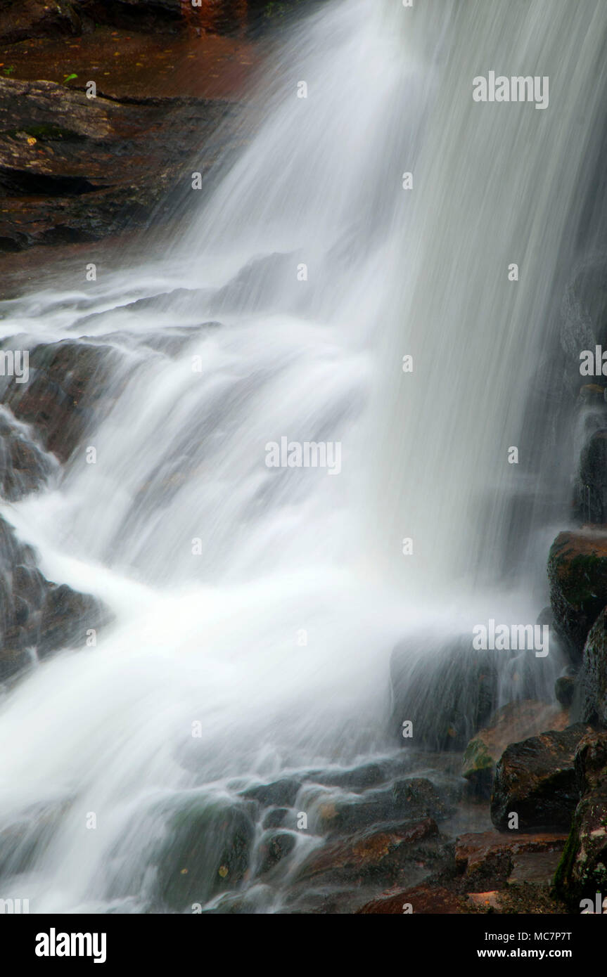 Pachaug state forest green falls hi-res stock photography and images ...