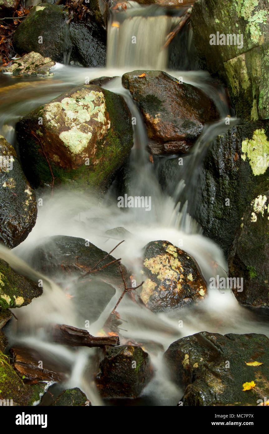 Inflow creek along Green Fall Pond Loop, Pachaug State Forest ...