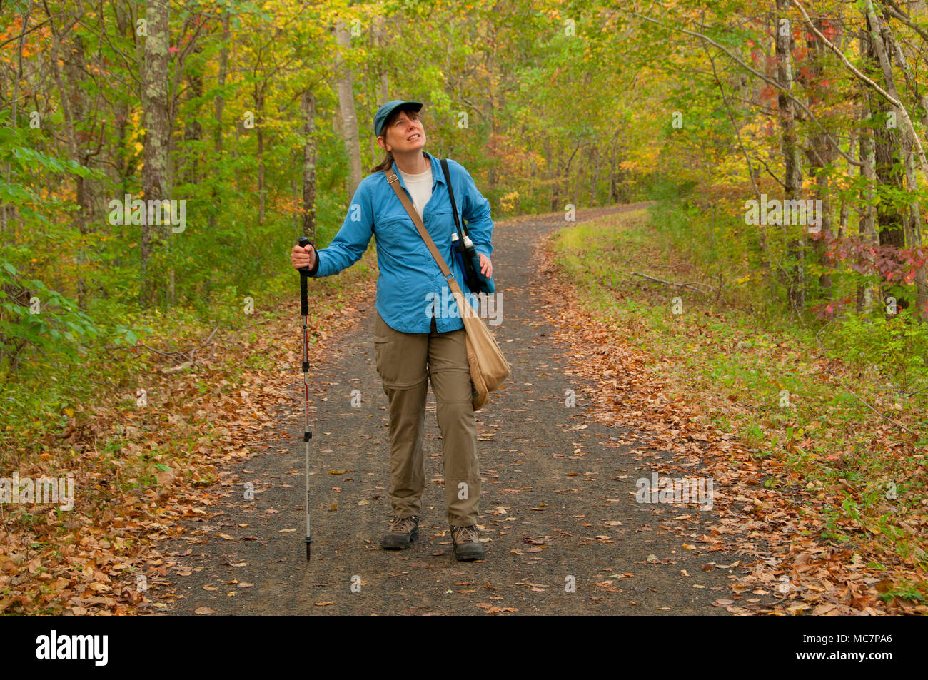 Air Line Trail, Air Line State Park Trail, Connecticut Stock Photo - Alamy