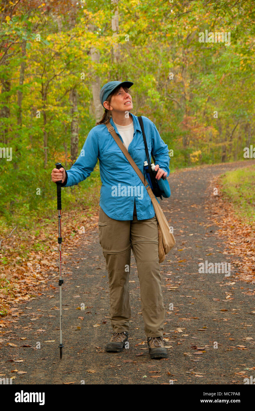 Air Line Trail, Air Line State Park Trail, Connecticut Stock Photo - Alamy