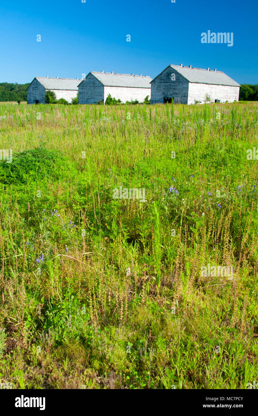 Connecticut barns hi-res stock photography and images - Alamy