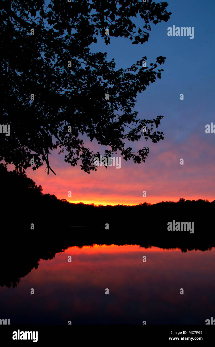 Batterson Pond sunset, Batterson Park Pond State Boat Launch, New ...
