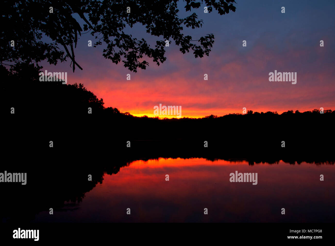 Batterson Pond sunset, Batterson Park Pond State Boat Launch, New ...