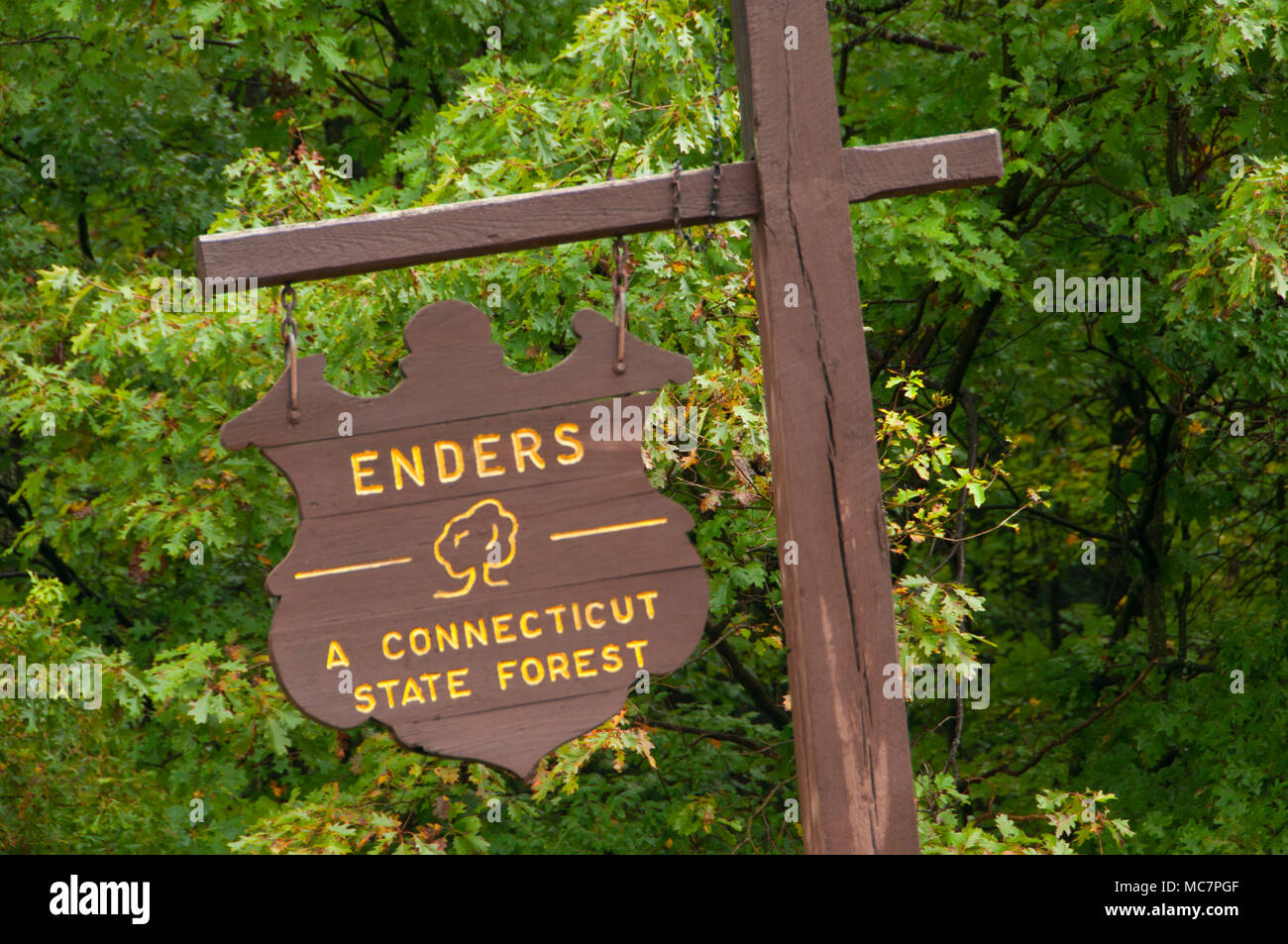 State Forest sign, Enders State Forest, Connecticut Stock Photo - Alamy