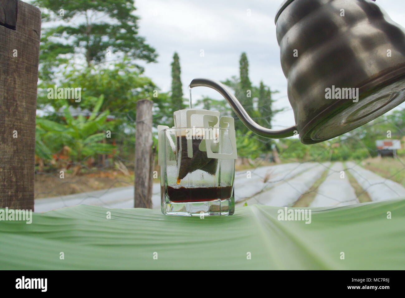 Barista making hand drip Coffee Stock Photo - Alamy