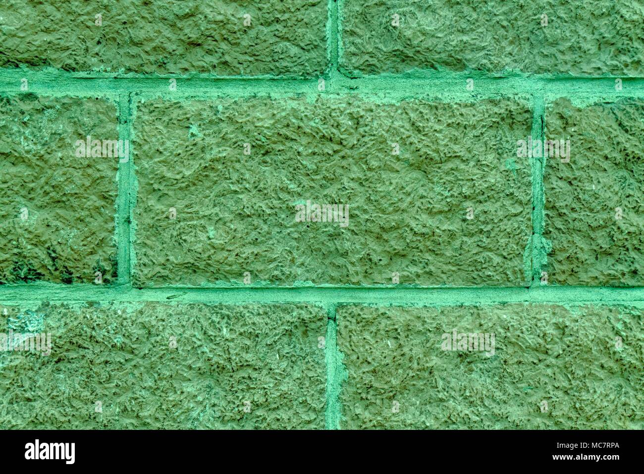 Shaded spruce Abstract background of tile brick wall. Texture surface ...