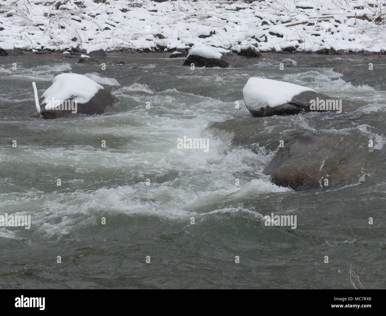 Espouse Creek with rocks covered by snow. Esopus Creek /ɪˈsoʊpəs/ is a ...