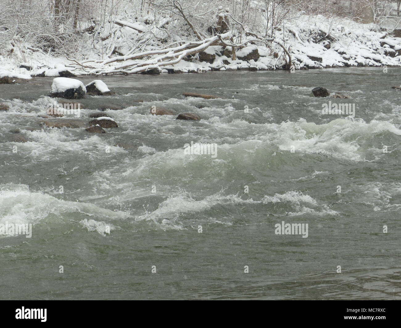 Espouse Creek with rocks covered by snow. Esopus Creek /ɪˈsoʊpəs/ is a ...