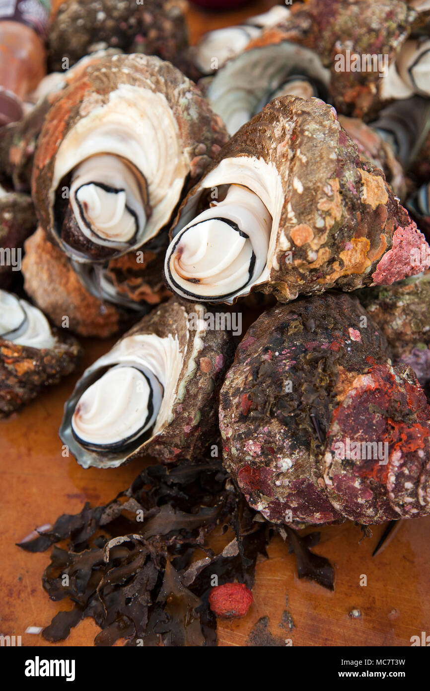 Fresh shellfish Popotla, Rosarito, Baja California, Mexico Stock Photo ...