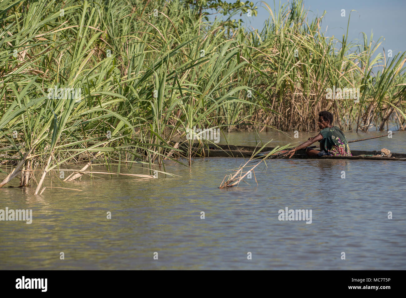 A woman on a dugout canoe among river plants, Sepik River, Papua New ...