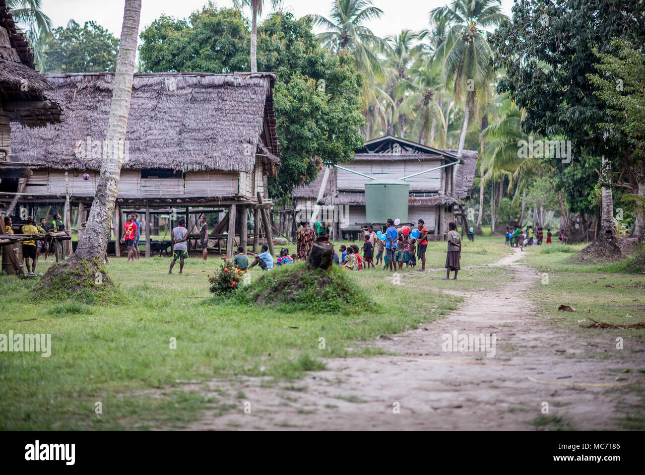 Swagup village of Insect People with wooden stilt houses, Upper Sepik ...
