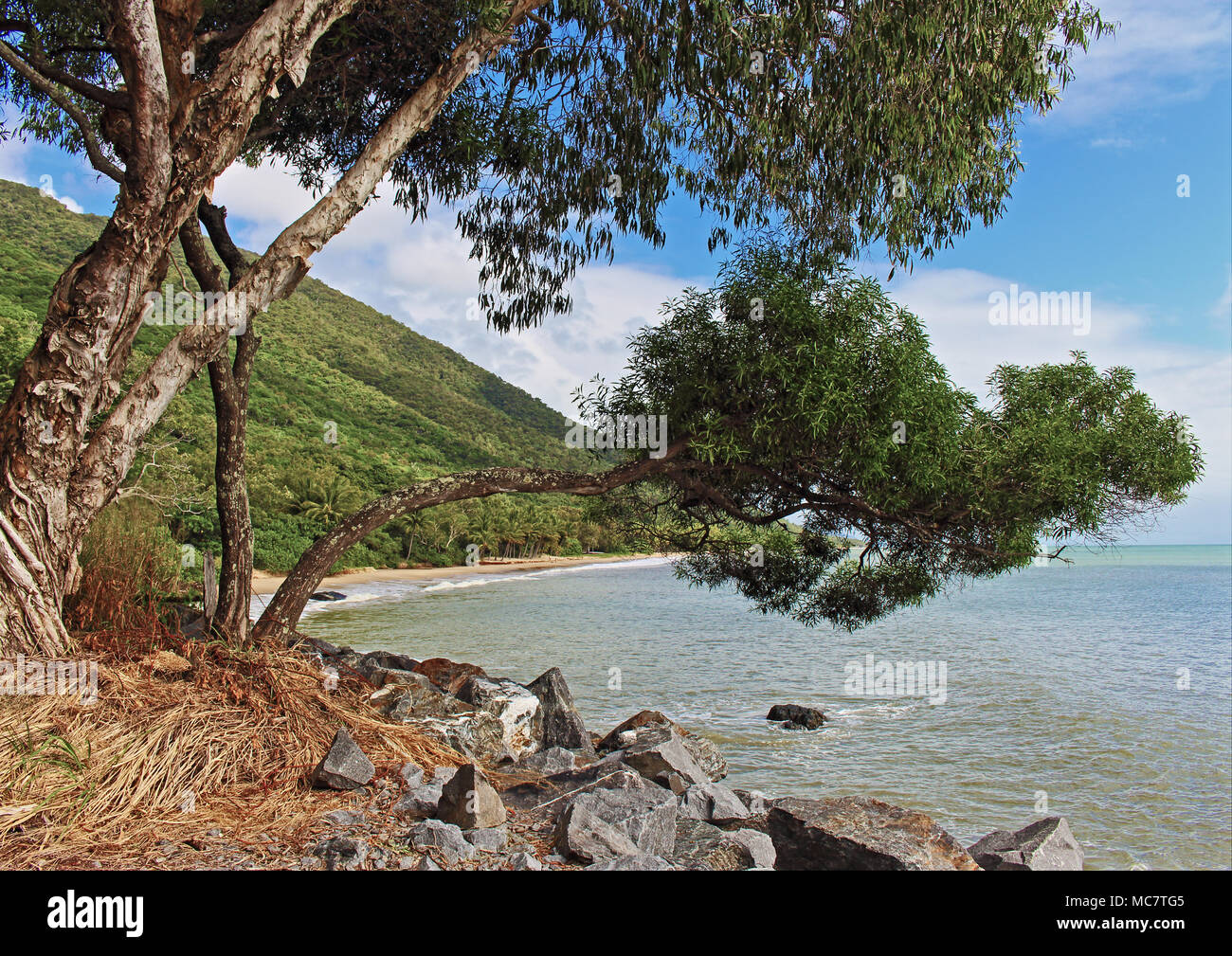 Beautiful Ellis Beach just north of Cairns in far north Queensland ...