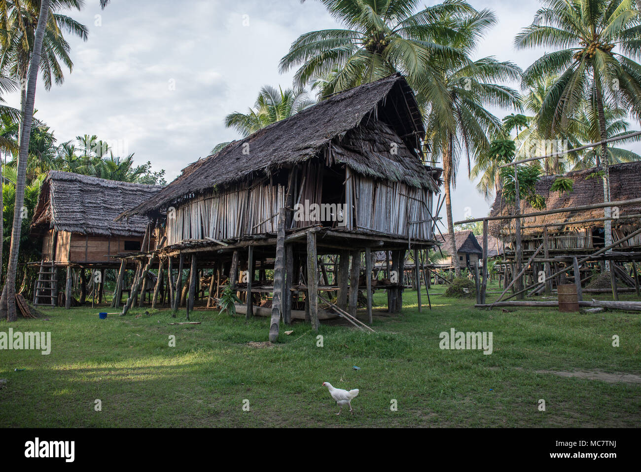 Swagup village of Insect People with wooden stilt houses, Upper Sepik ...