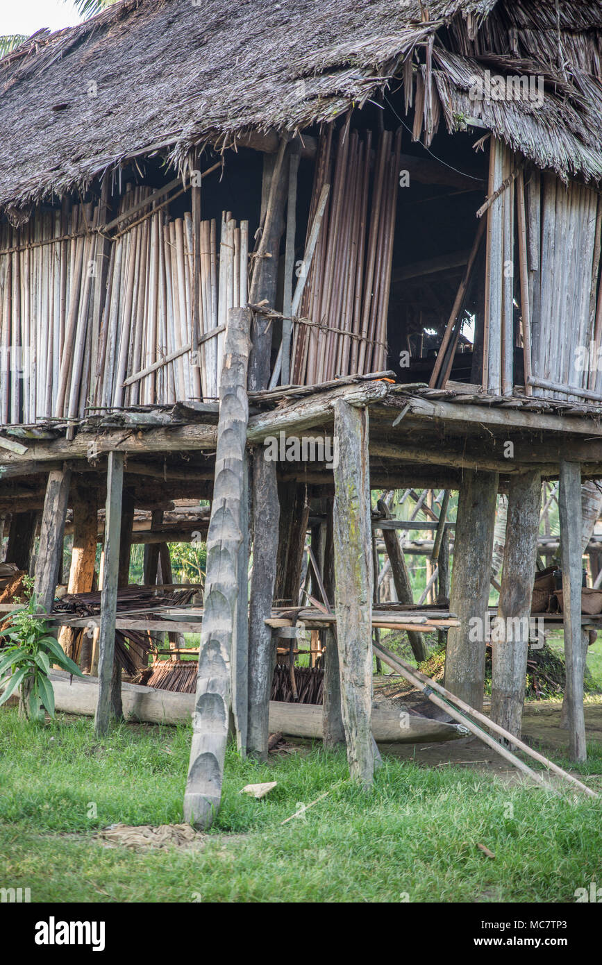 Swagup village of Insect People with wooden stilt houses, Upper Sepik ...