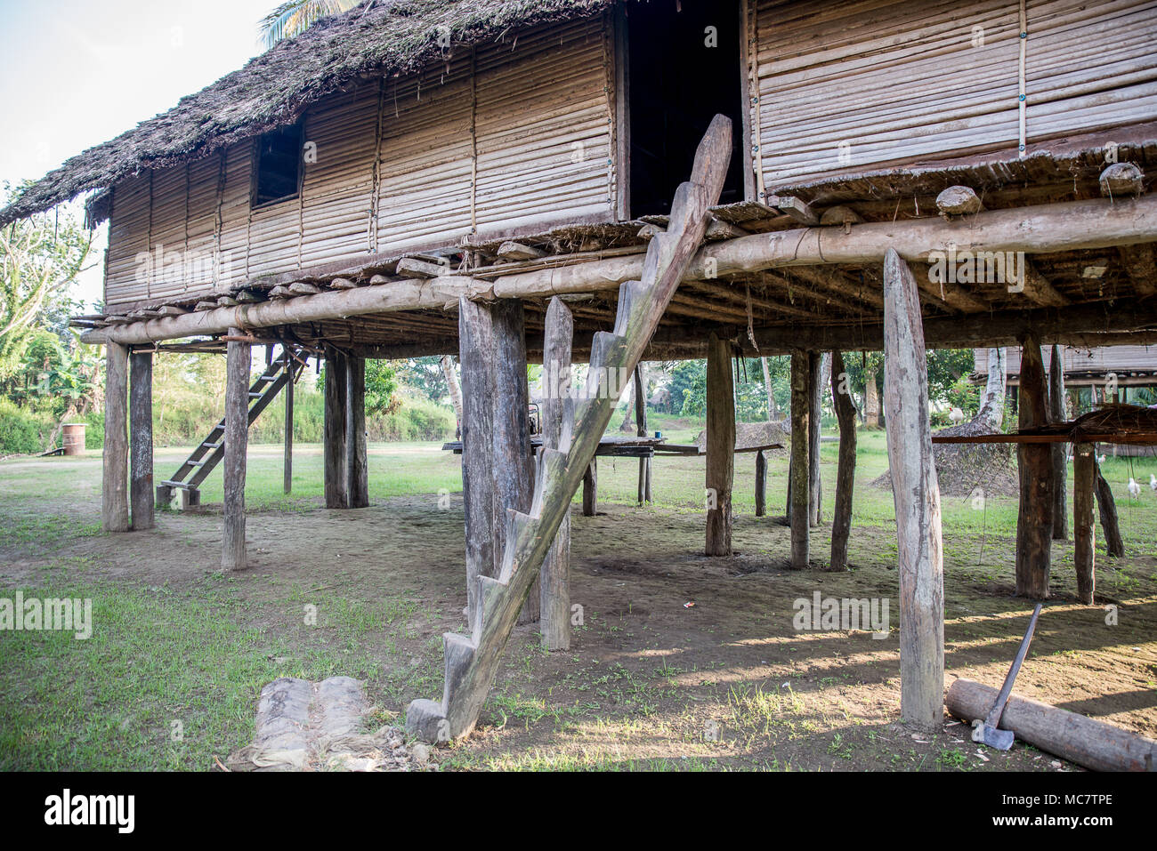 Swagup village of Insect People with wooden stilt houses, Upper Sepik ...