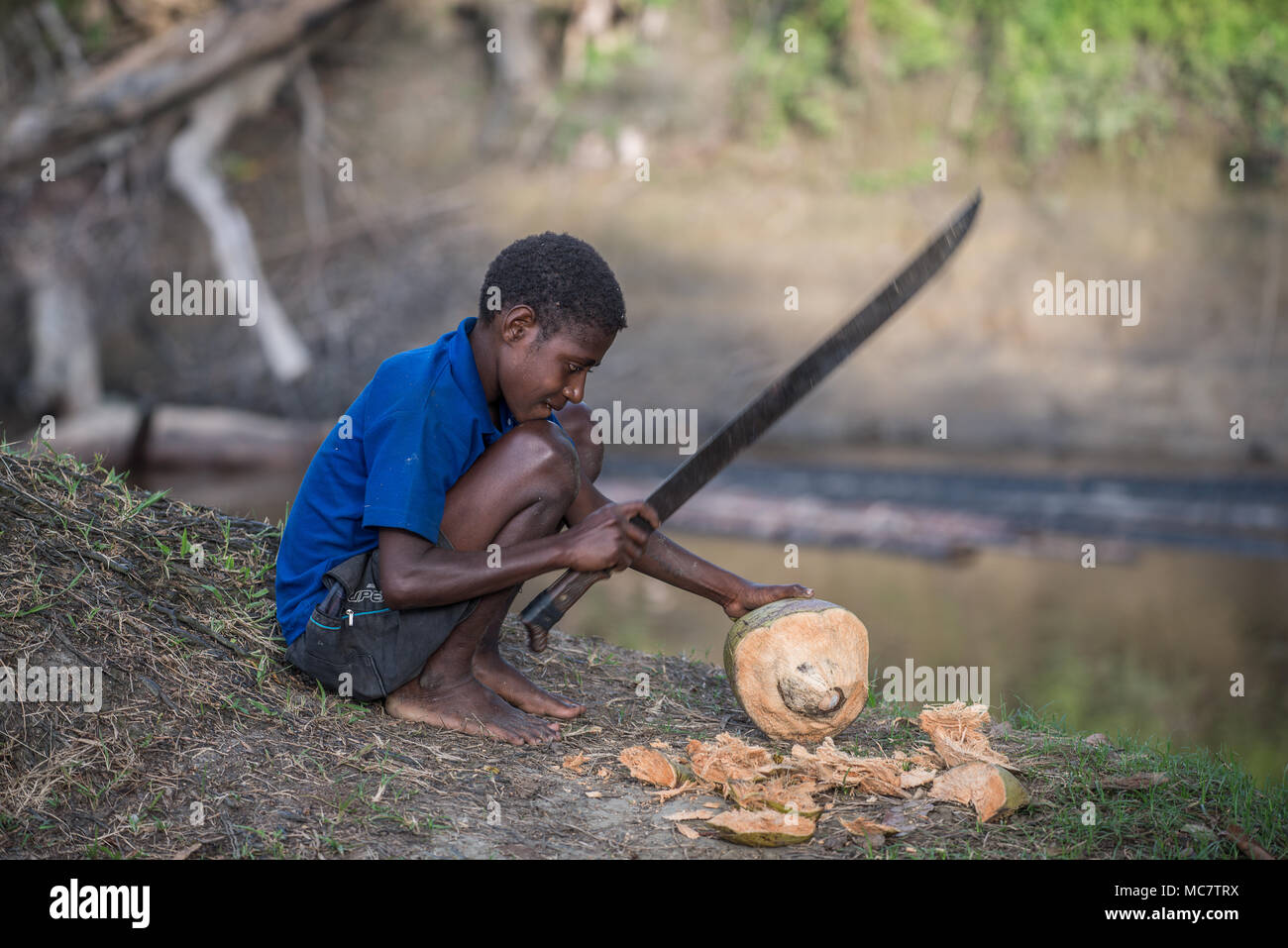 A boy opening a coconut with a large machete, Swagup Village, Upper ...