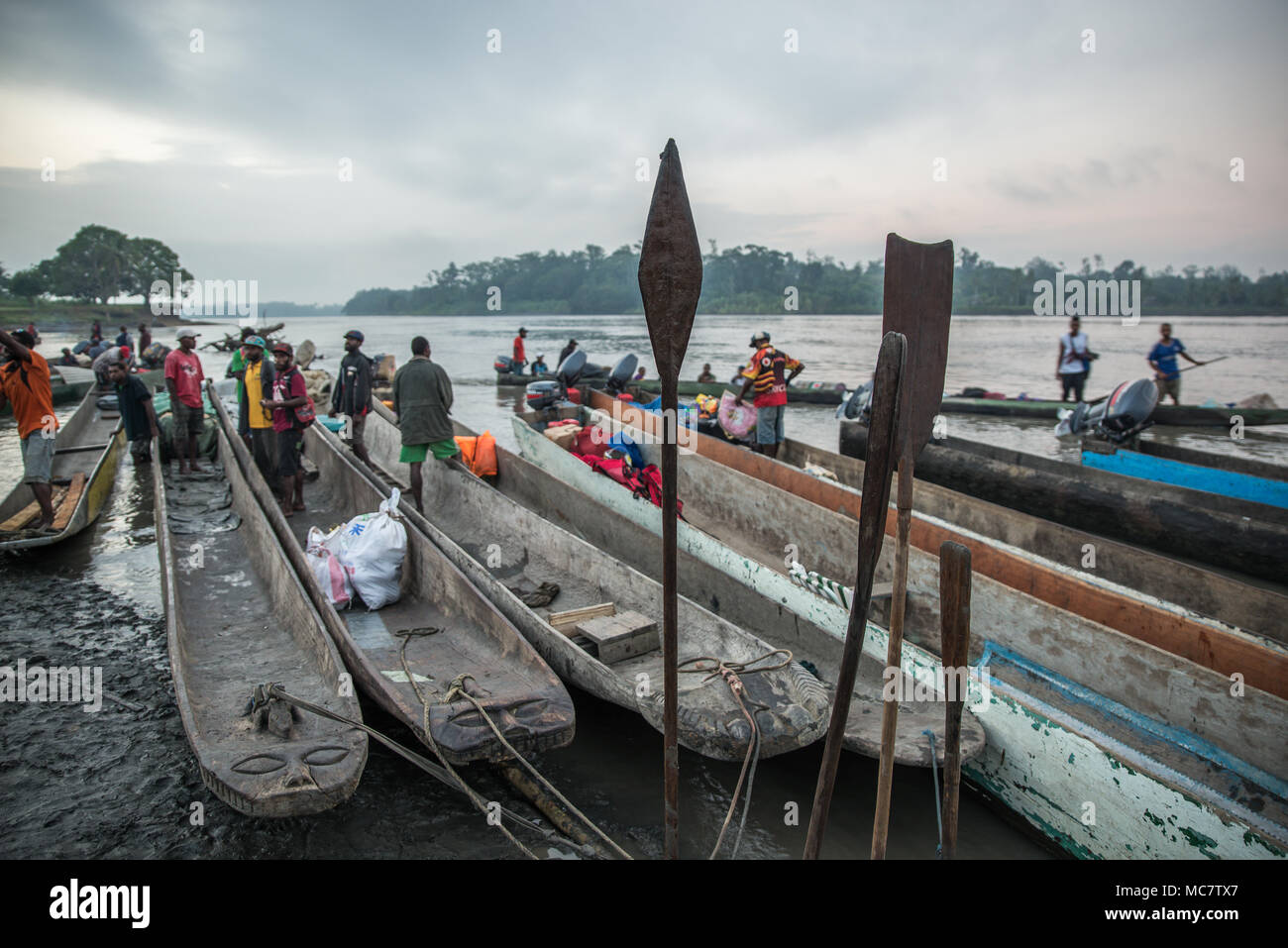 Dugout canoes and paddles at Pagwi, Middle Sepik, Papua New Guinea ...