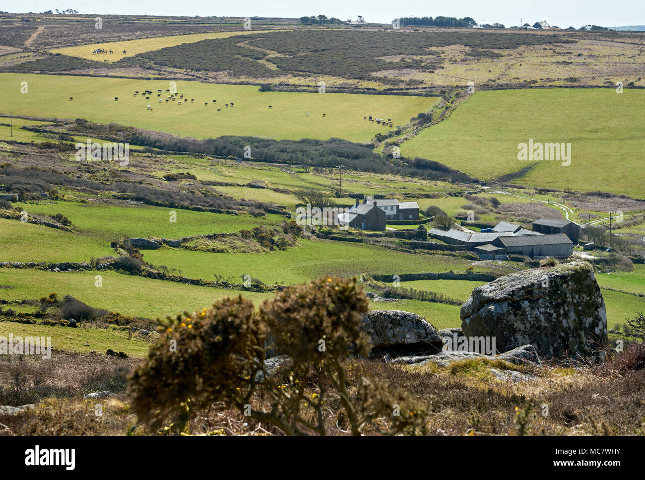 From Zennor hill in Cornwall I watched as the hunt appeared over the ...