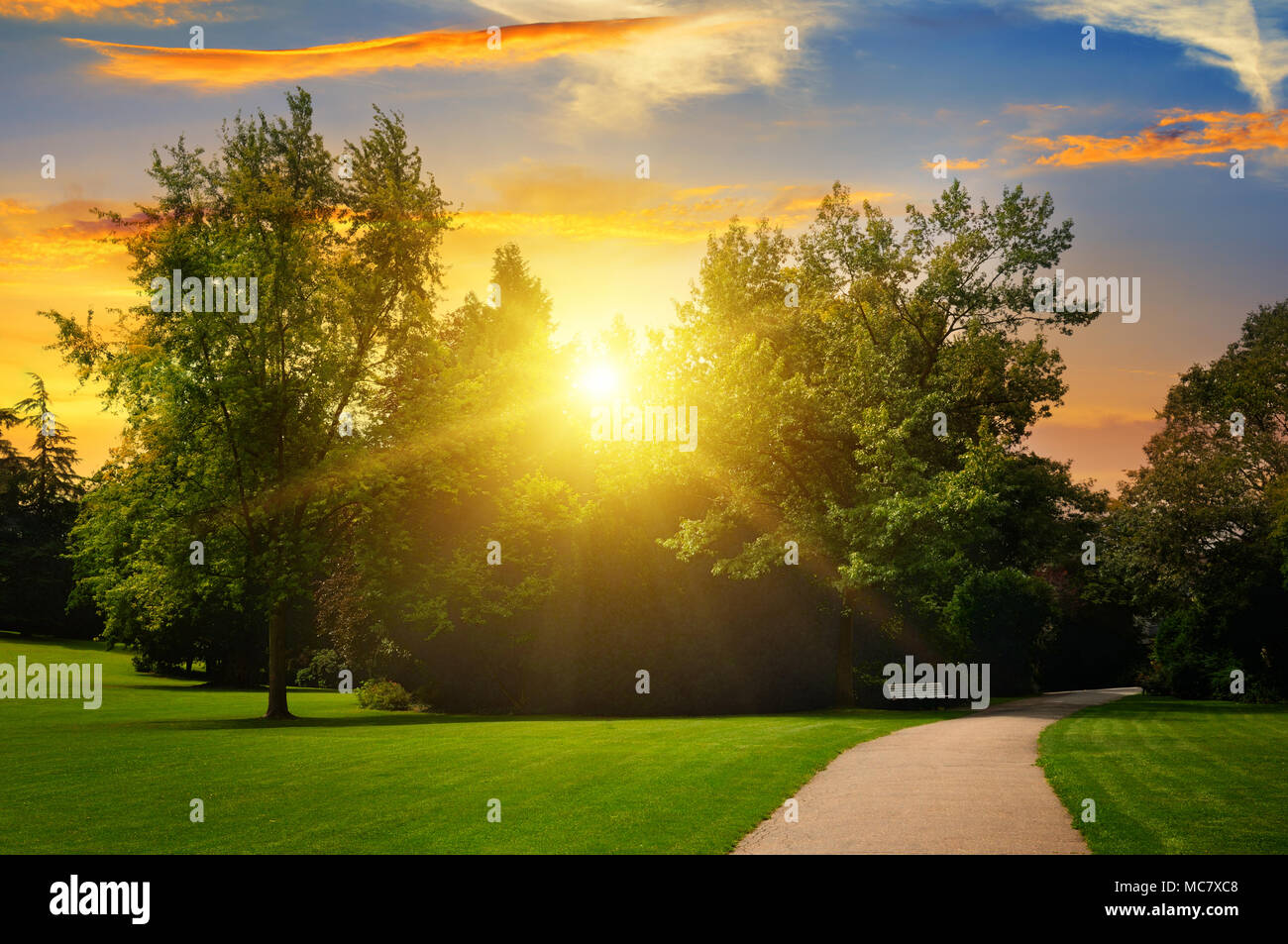 beautiful summer park and sunset Stock Photo - Alamy