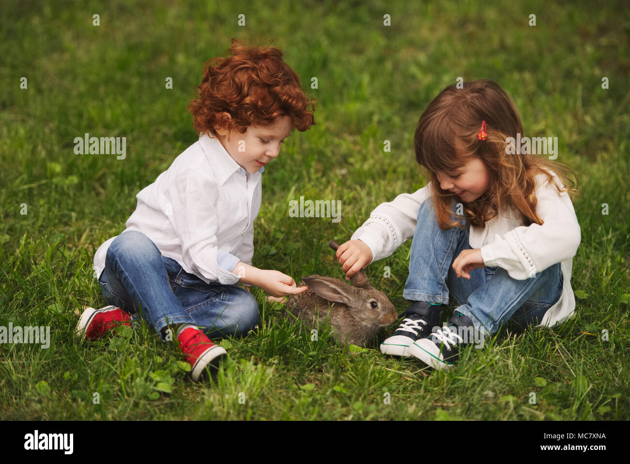 little boy and girl playing with rabbit in park Stock Photo - Alamy