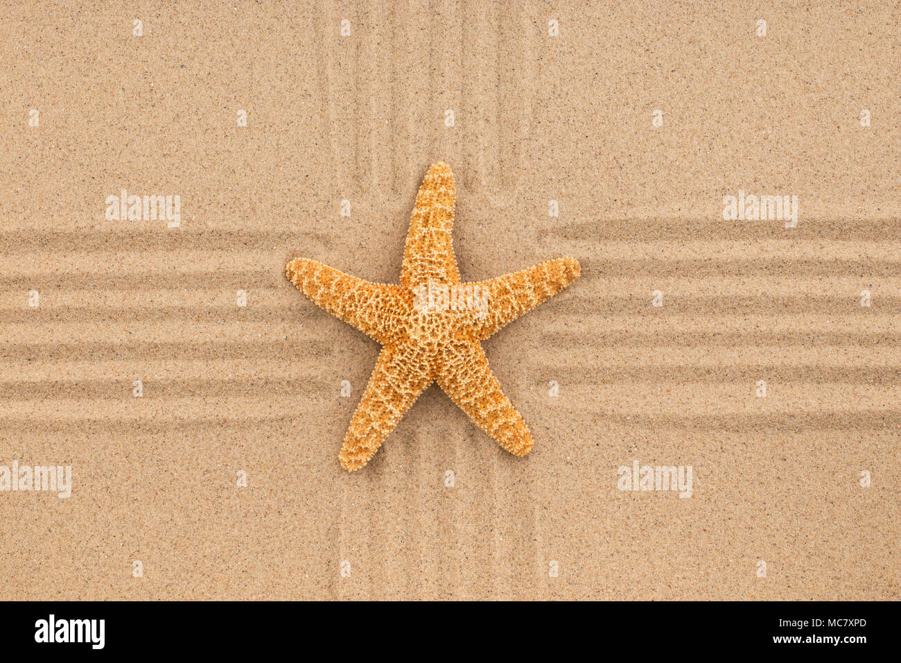 Yellow sea star lies in the center of a lines of sand. Summer concept ...