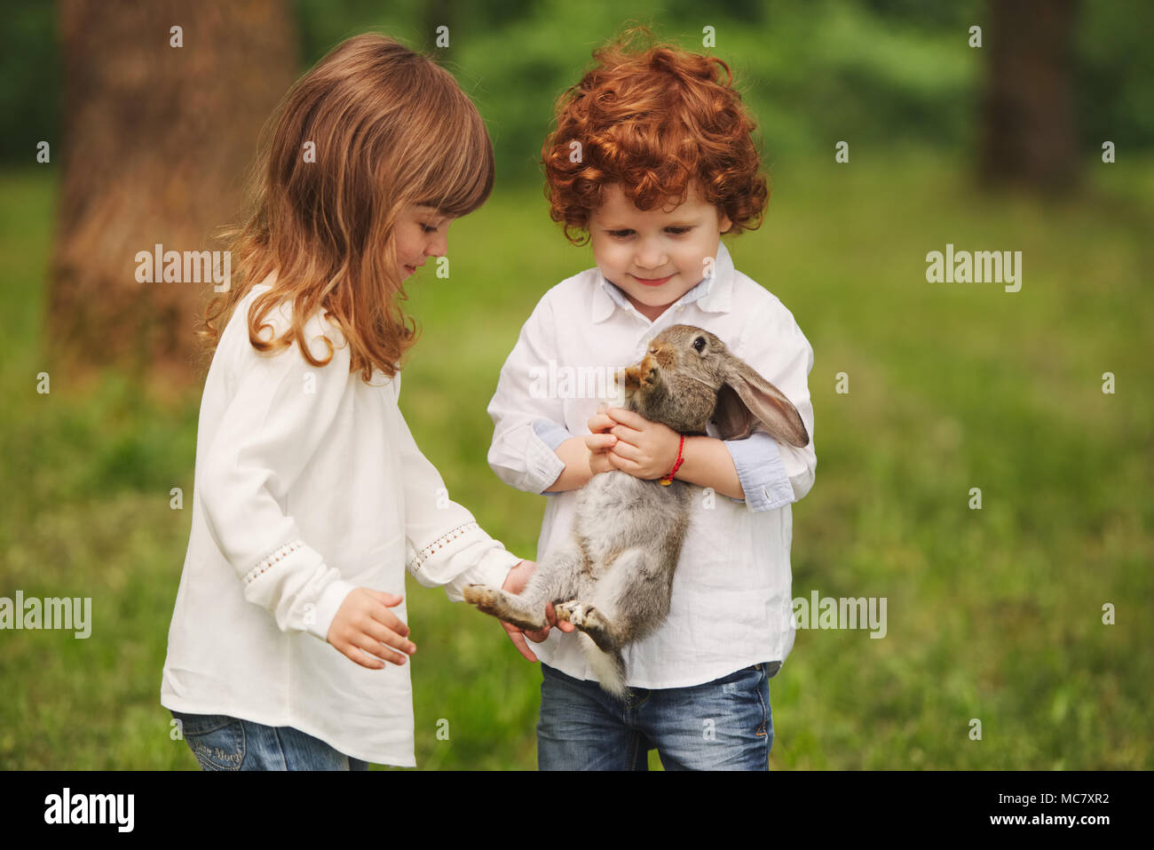 little boy and girl playing with rabbit in park Stock Photo - Alamy